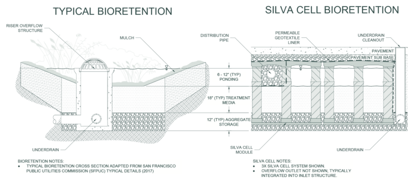 Stormwater Management Through Bioretention | Silva Cell by DeepRoot