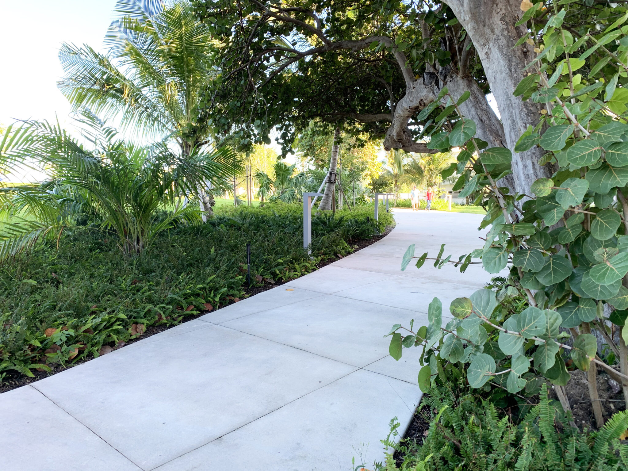 Open-Concept Park in Miami Beach Utilizes Silva Cells for New and ...