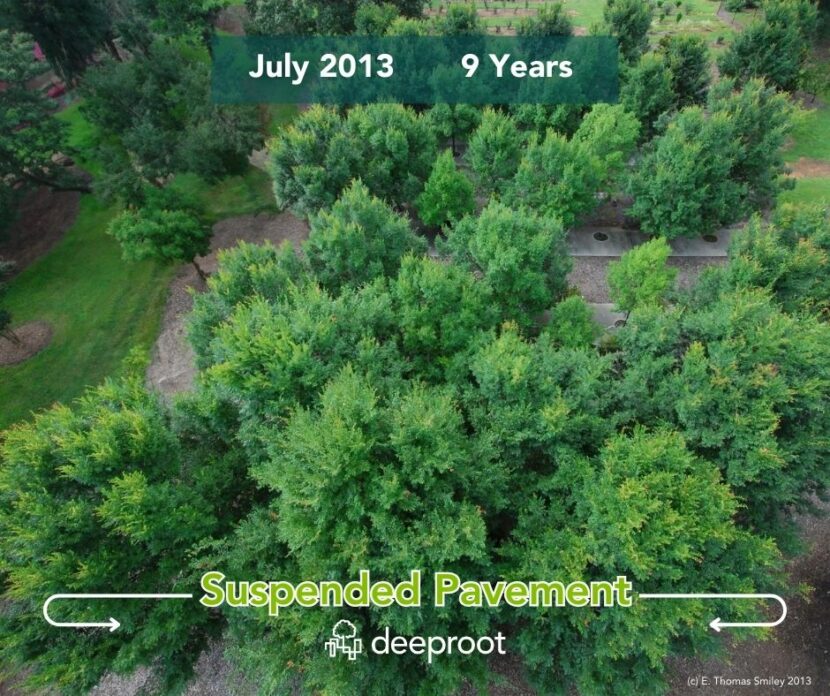 Research: Silva Cell Suspended Pavement System Outperforms Structural ...