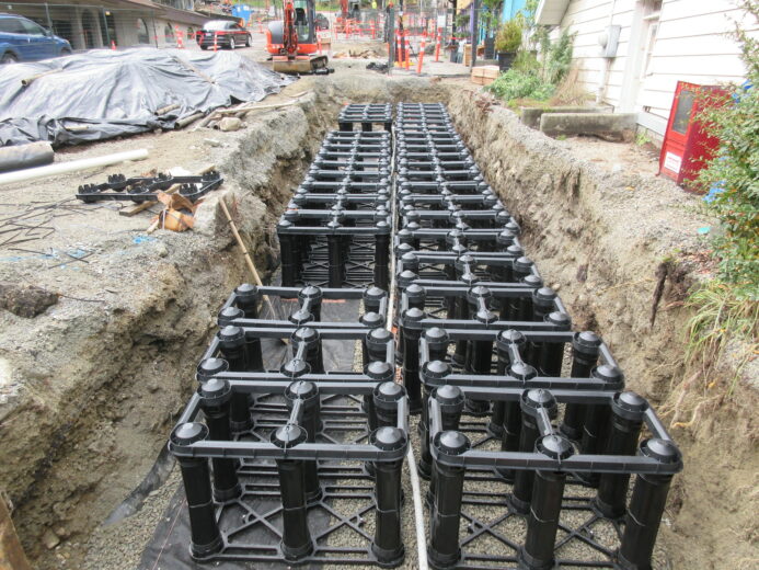 Gallant Avenue in North Vancouver: Silva Cells Improve Soil Conditions ...