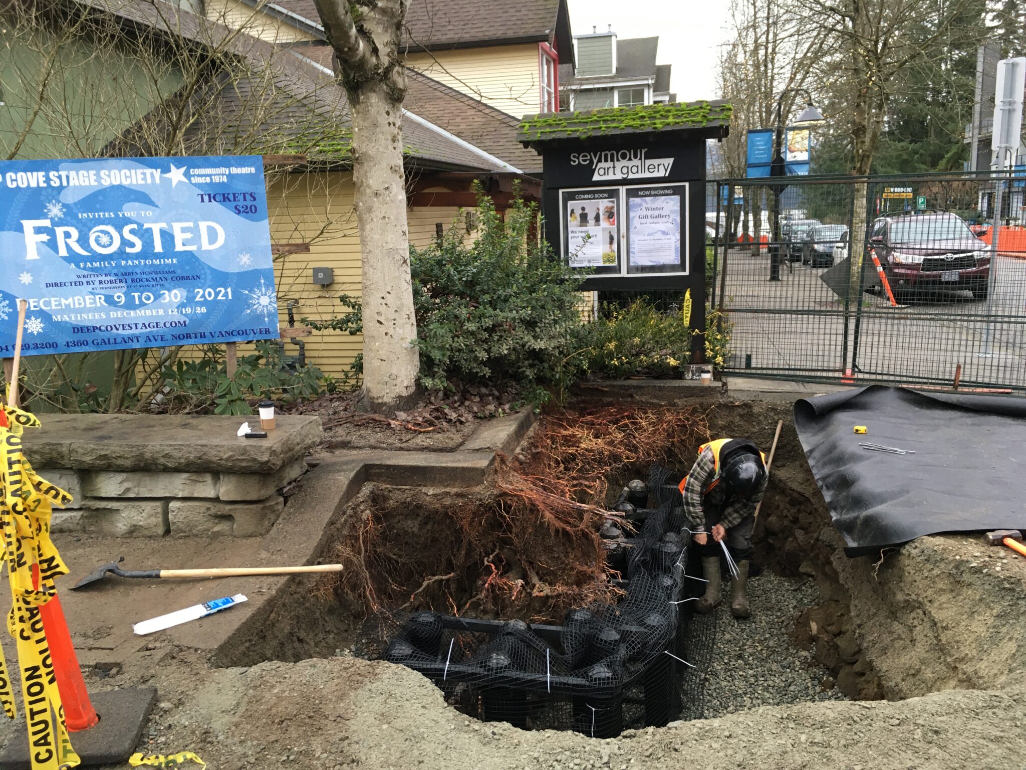 Gallant Avenue in North Vancouver: Silva Cells Improve Soil Conditions ...