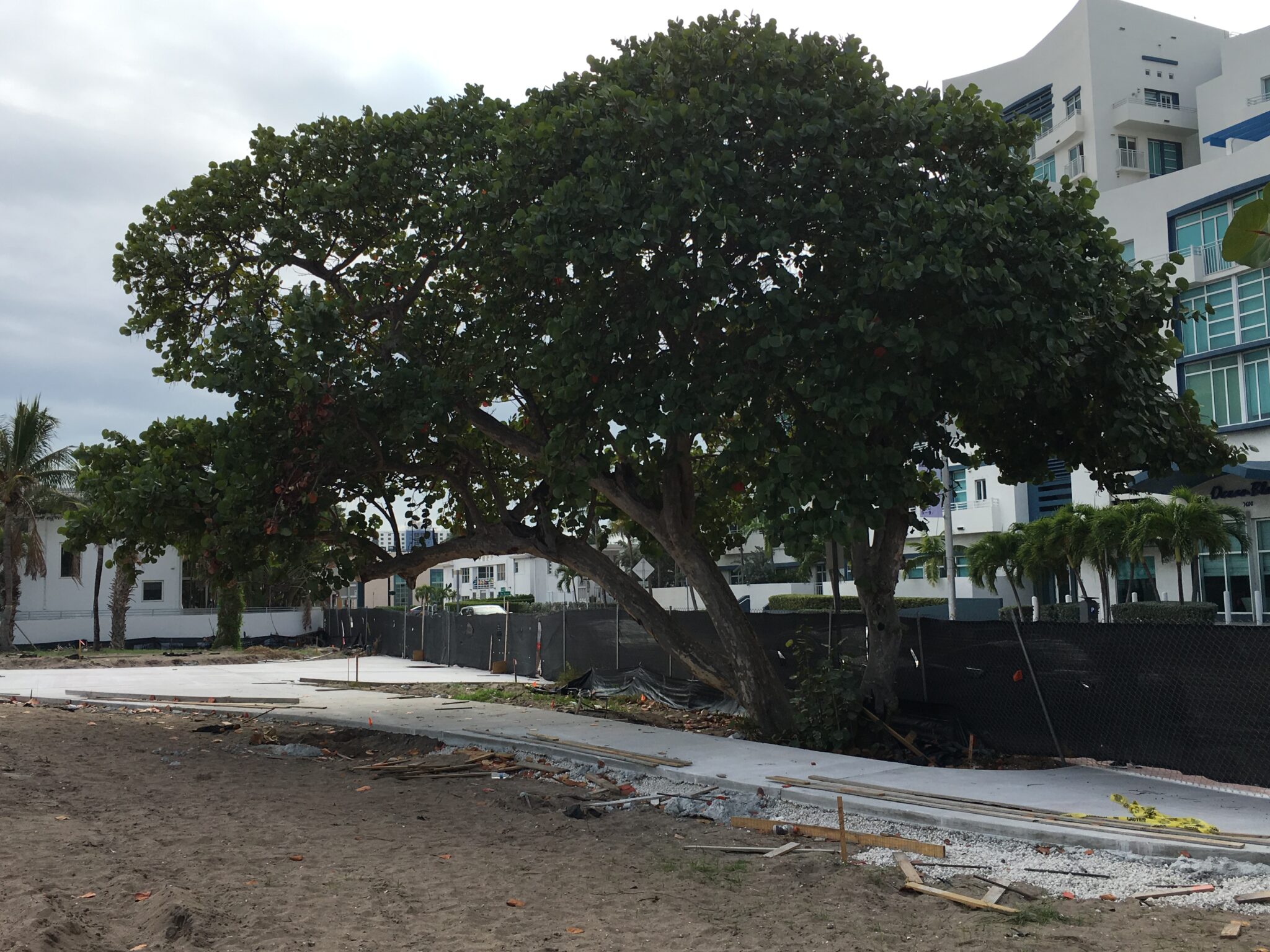 Open-Concept Park in Miami Beach Utilizes Silva Cells for New and ...