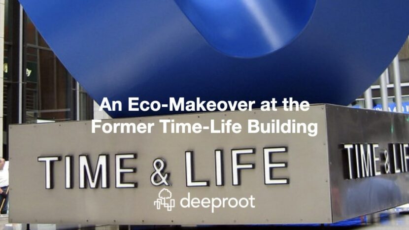 An Eco-Makeover at the Former Time-Life Building | DeepRoot Blog