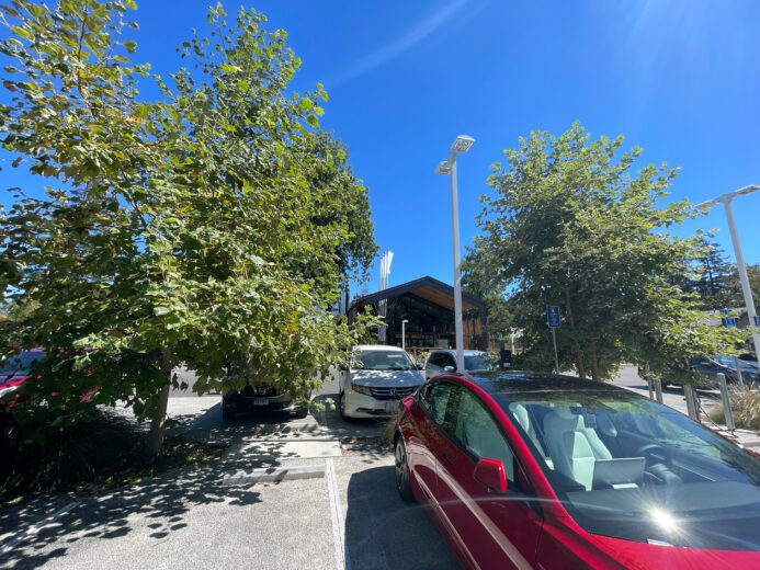 Palo Alto Junior Museum and Zoo Prioritizes Sustainability in Upgrade ...