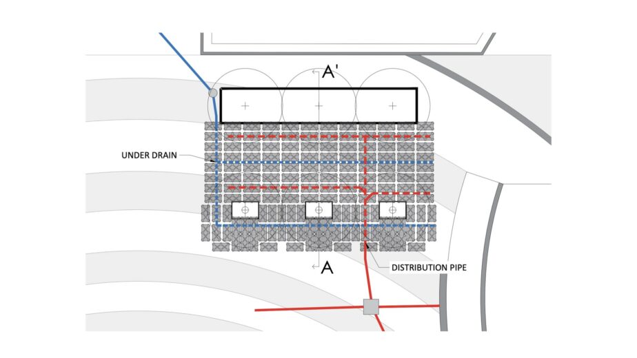 Stormwater Management Through Bioretention | Silva Cell by DeepRoot