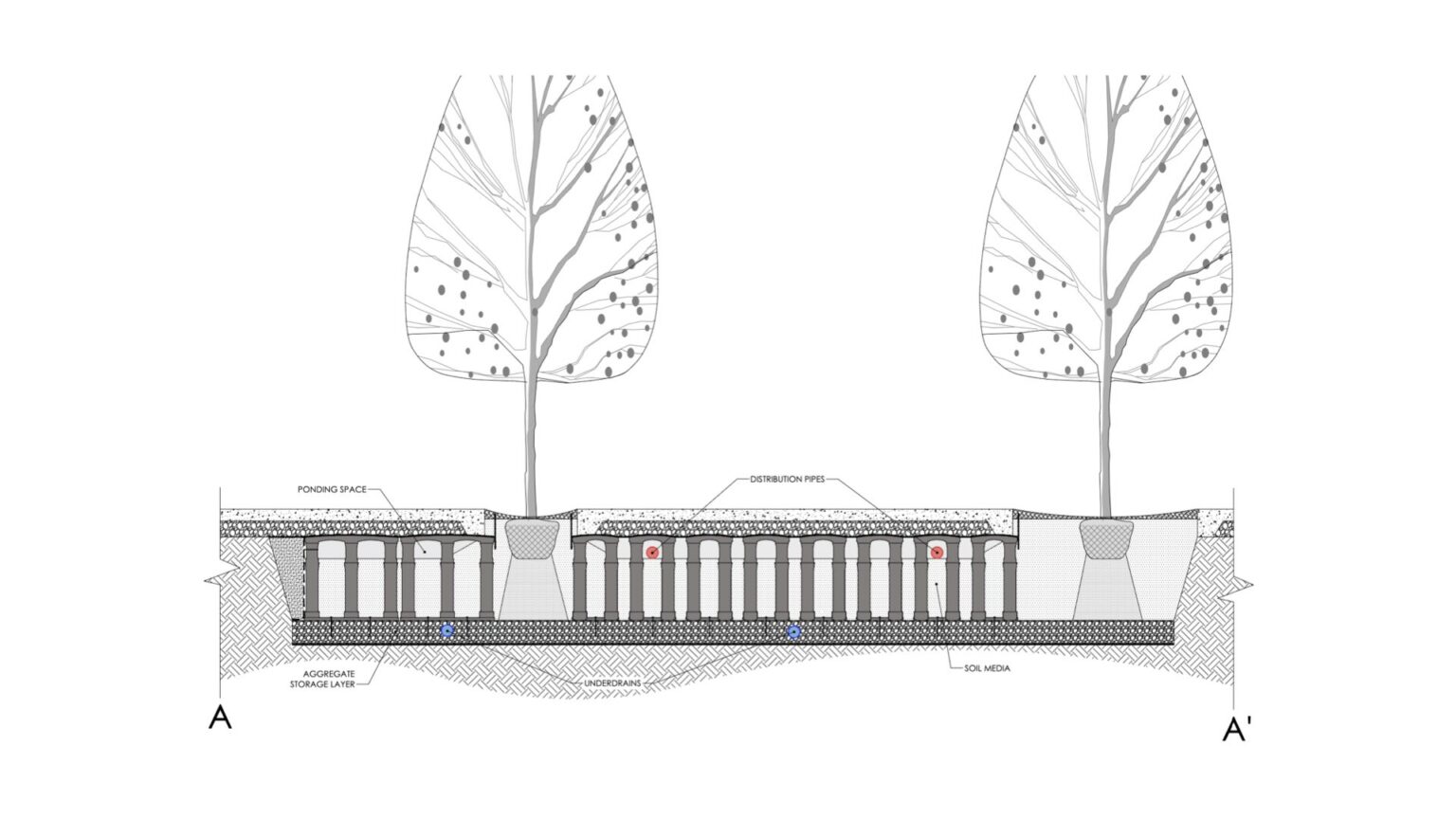 Stormwater Management Through Bioretention | Silva Cell by DeepRoot
