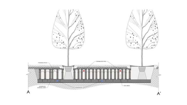 Stormwater Management Through Bioretention | Silva Cell by DeepRoot