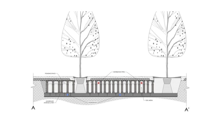 Stormwater Management Through Bioretention | Silva Cell by DeepRoot