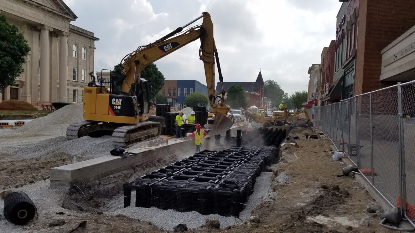 Silva Cells Grow Big Trees in Towns of Any Size | DeepRoot Blog