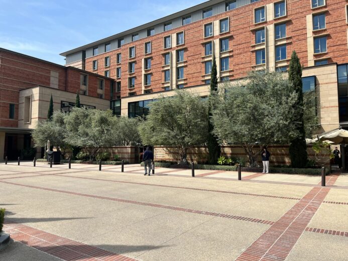 Award-Winning UCLA Project Utilizes Silva Cells to Support Plaza Trees ...