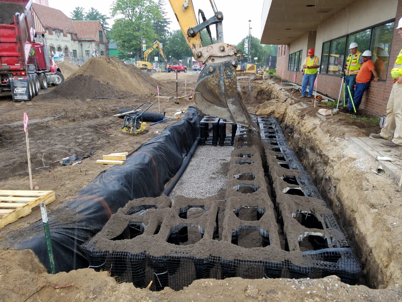 Silva Cells Grow Big Trees in Towns of Any Size | DeepRoot Blog