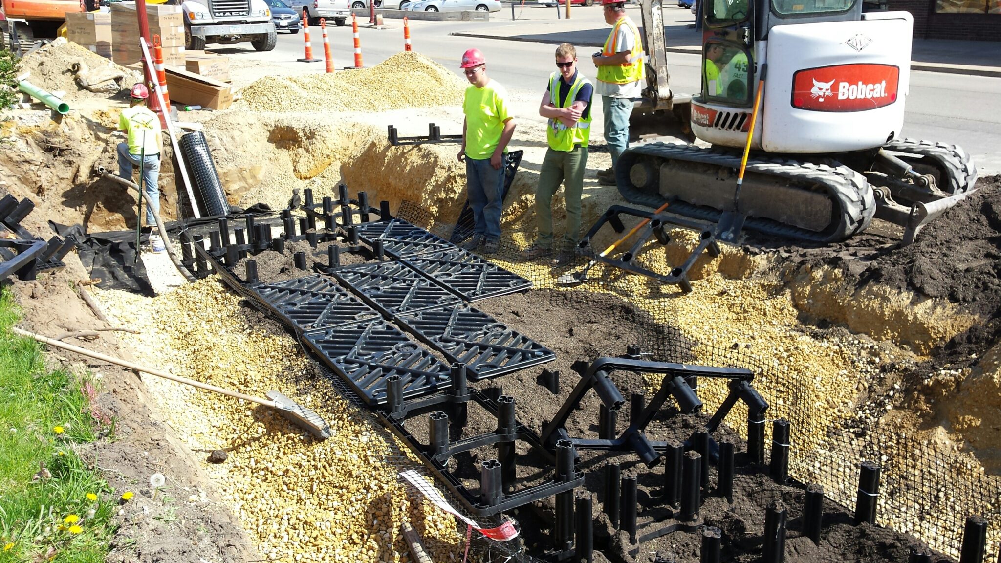 Silva Cells Grow Big Trees in Towns of Any Size | DeepRoot Blog