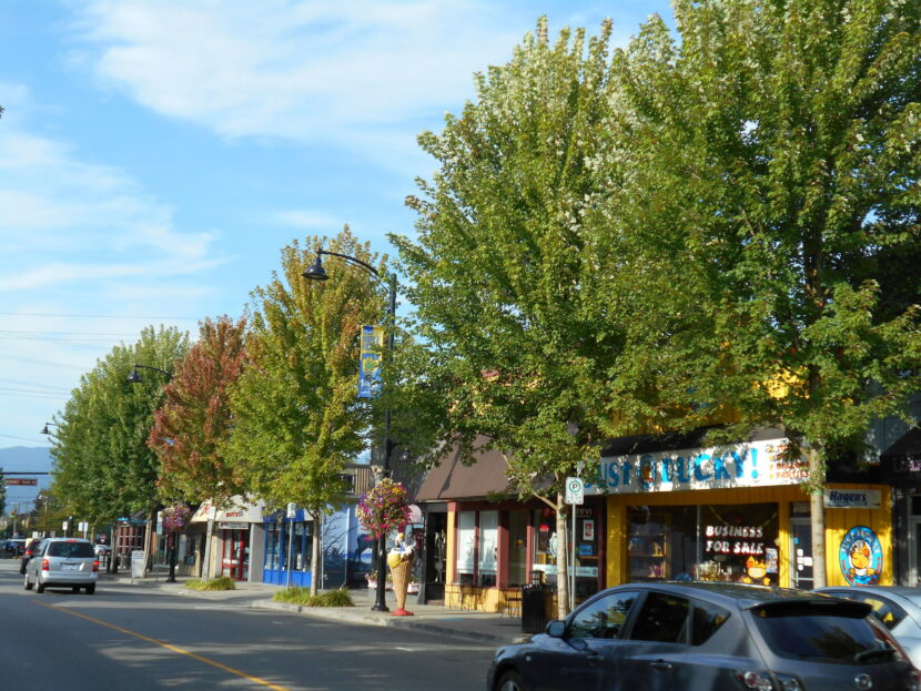 More Than 2,000 Silva Cells Support Over 200 Street Trees in Maple ...