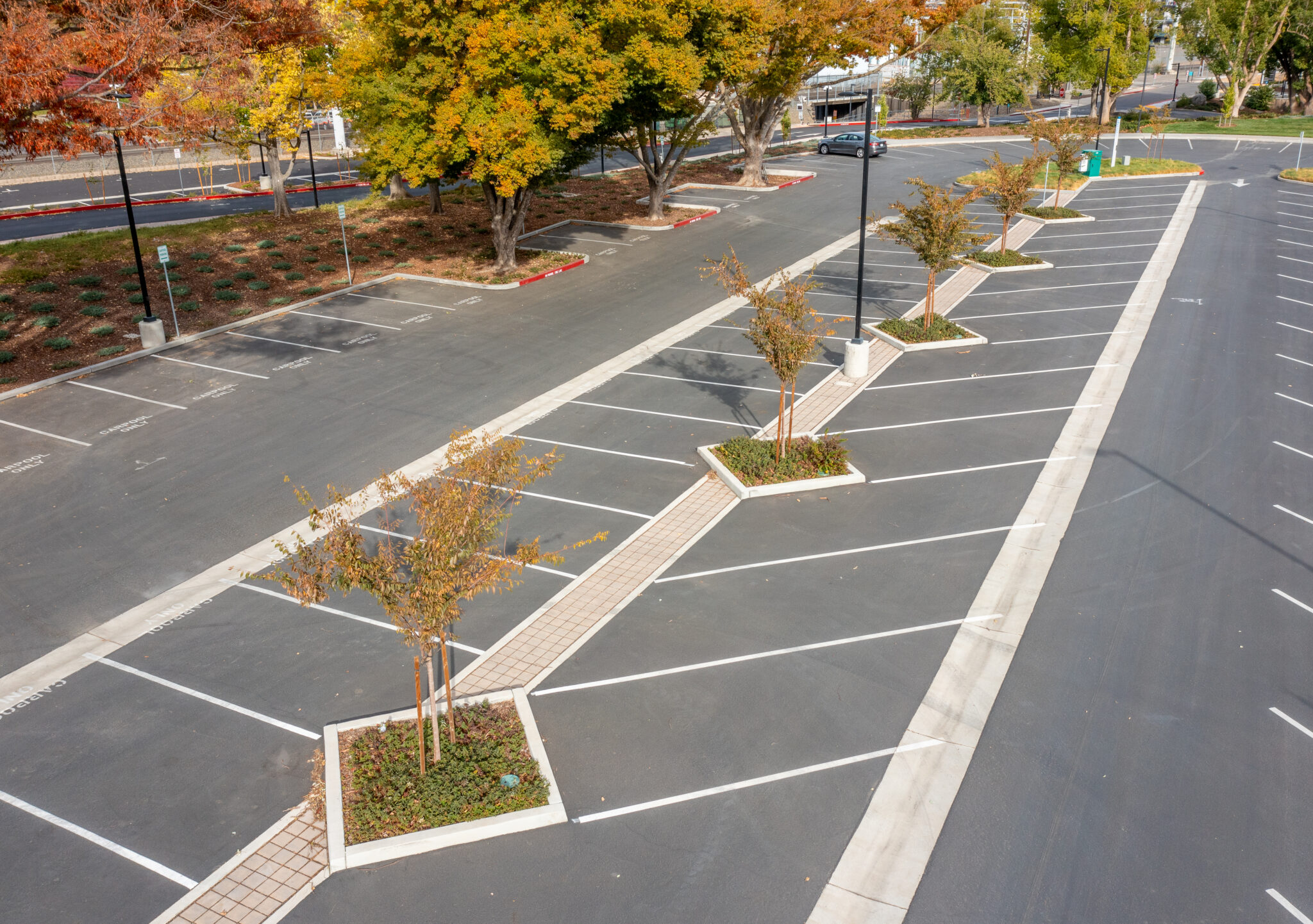 SMUD HQ in Sacramento Embraces Shady Tree Coverage in Parking Lot ...