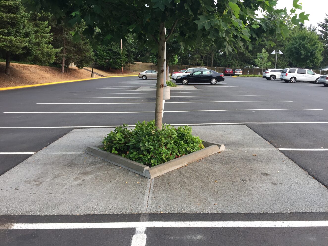 Mountlake Terrace Park and Ride: An Early Example of Silva Cell Success ...