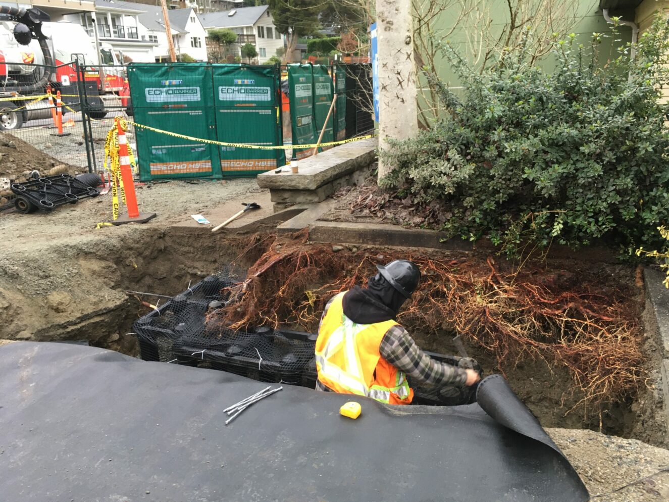 Silva Cells Can Be Installed With Existing Trees Deeproot