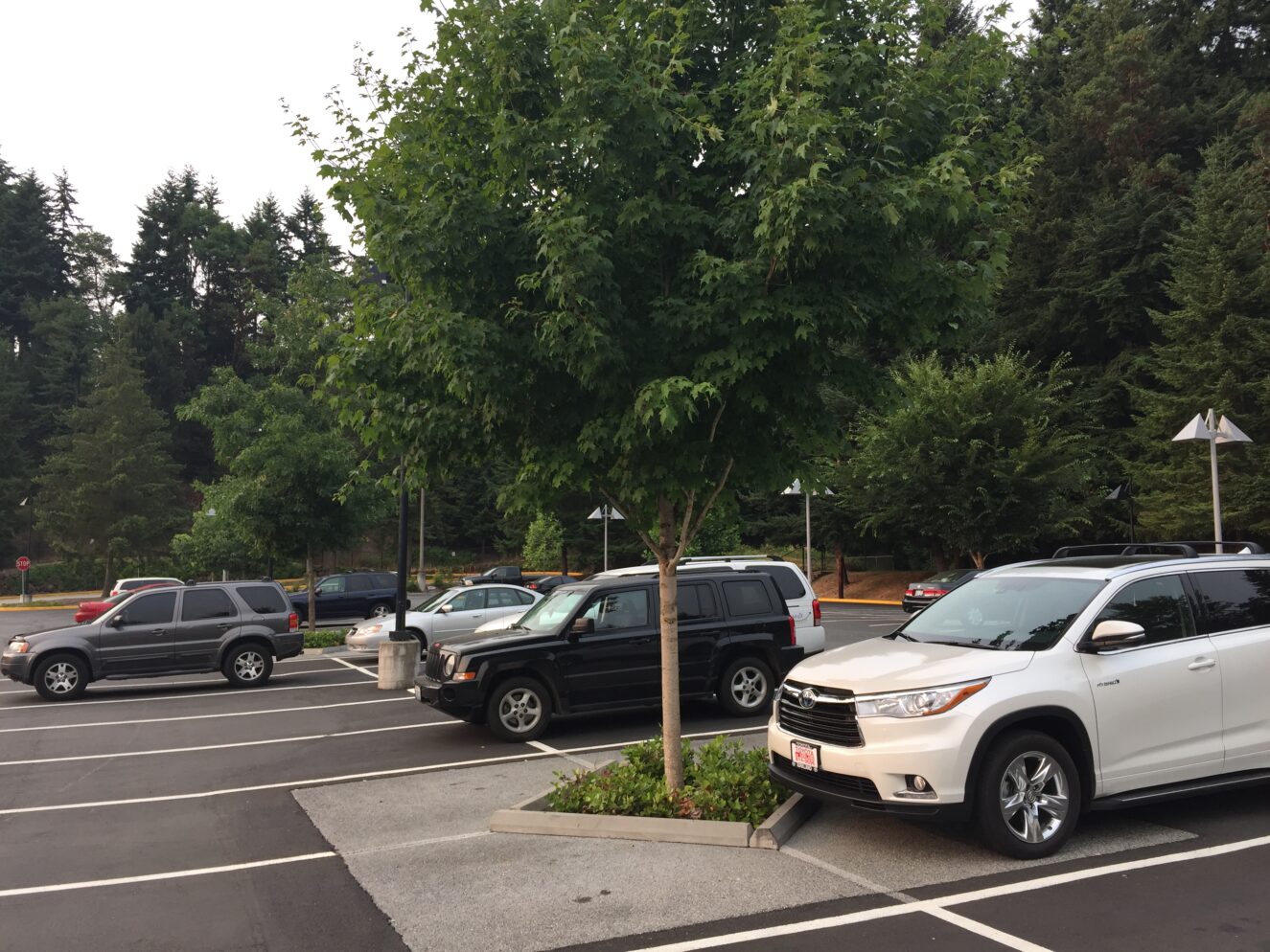Mountlake Terrace Park and Ride: An Early Example of Silva Cell Success ...