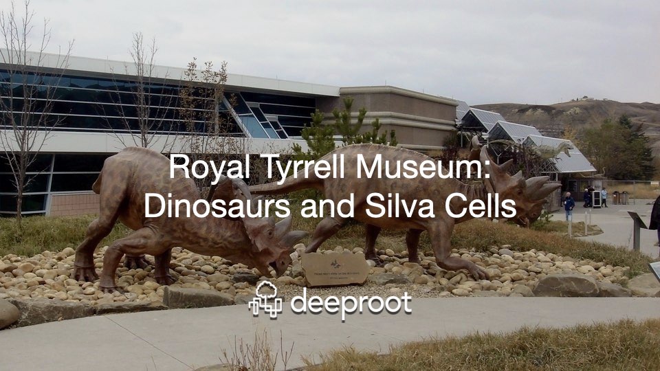 Royal Tyrrell Museum: Dinosaurs and Silva Cells | DeepRoot Blog