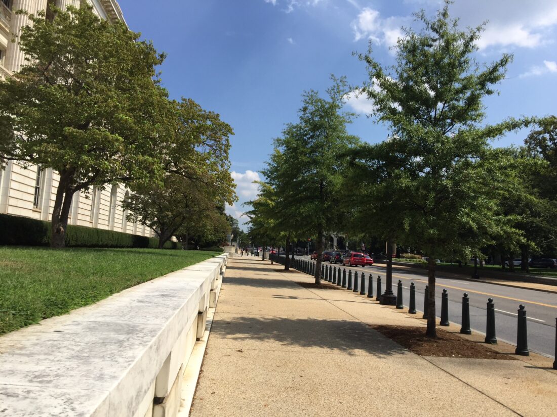 U.S. Supreme Court Project Delivers Unanimous Decision: Silva Cells ...