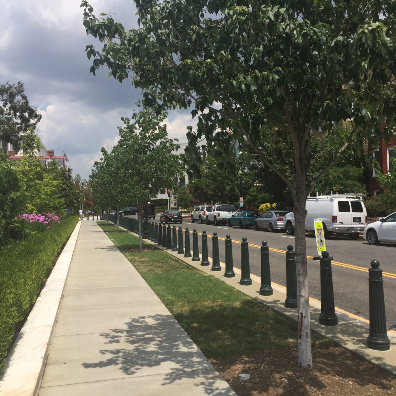 U.S. Supreme Court Project Delivers Unanimous Decision: Silva Cells ...