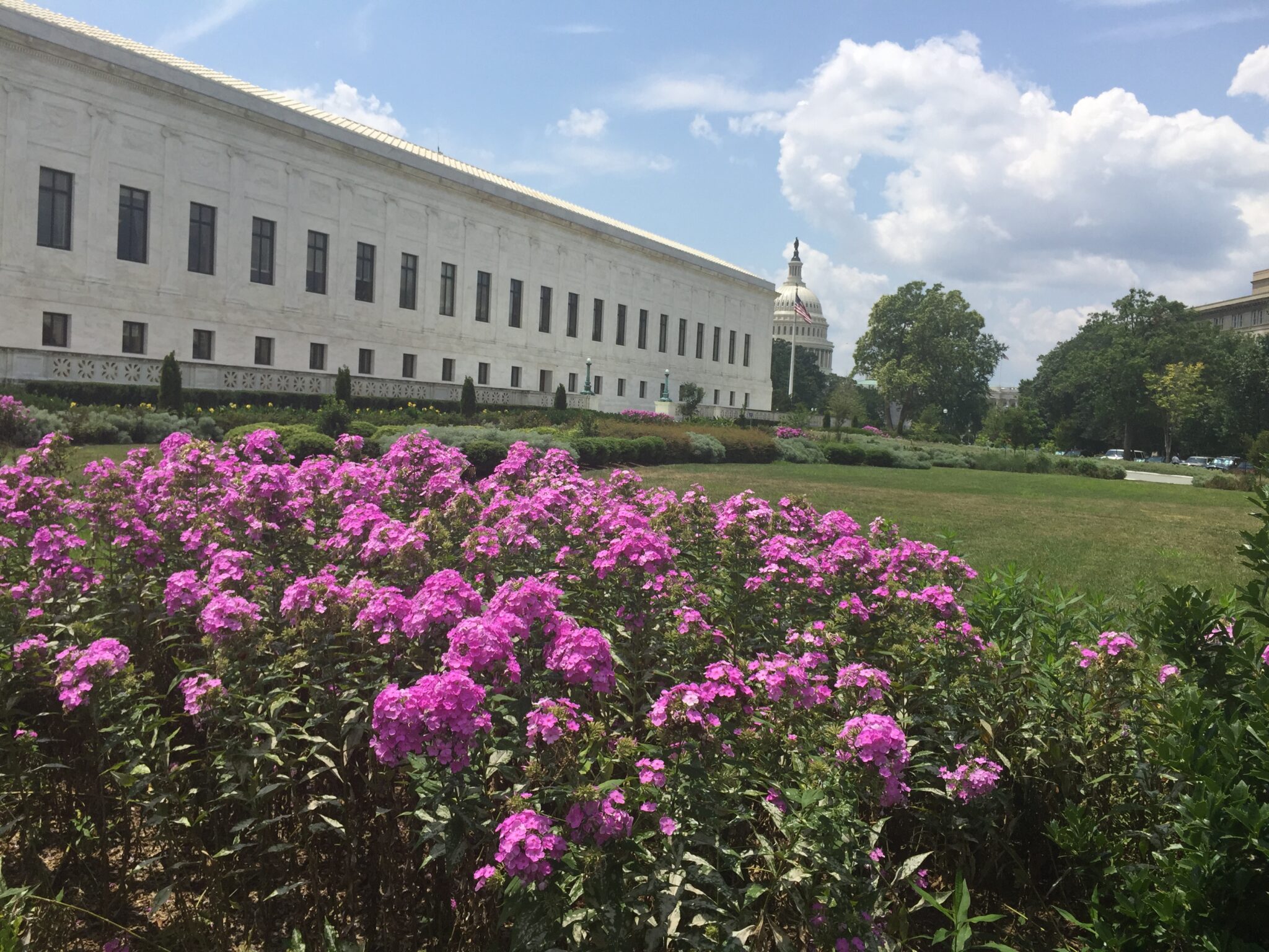 U.S. Supreme Court Project Delivers Unanimous Decision: Silva Cells ...