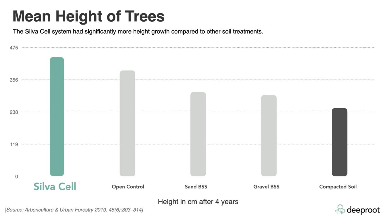 The Limitations of Structural Soil: Why It’s Not the Best Solution for ...