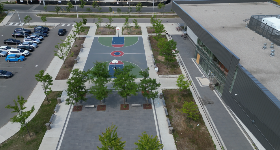 Toronto-Area High School Installs Silva Cells Under Shade Trees in ...