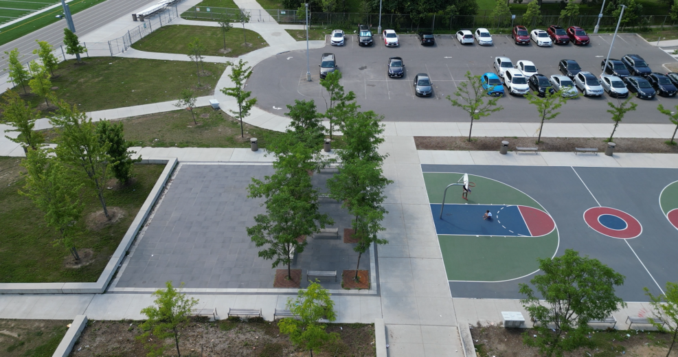 Toronto-Area High School Installs Silva Cells Under Shade Trees in ...