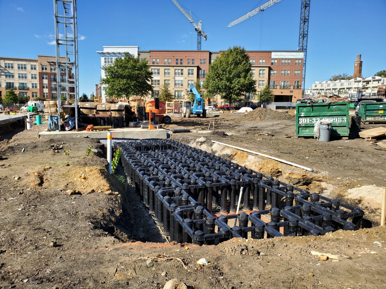 Alethia Tanner Park in Washington D.C. Plants Over 20 Shade Trees in ...