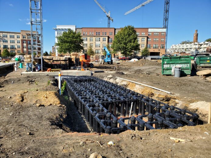 Alethia Tanner Park in Washington D.C. Plants Over 20 Shade Trees in ...