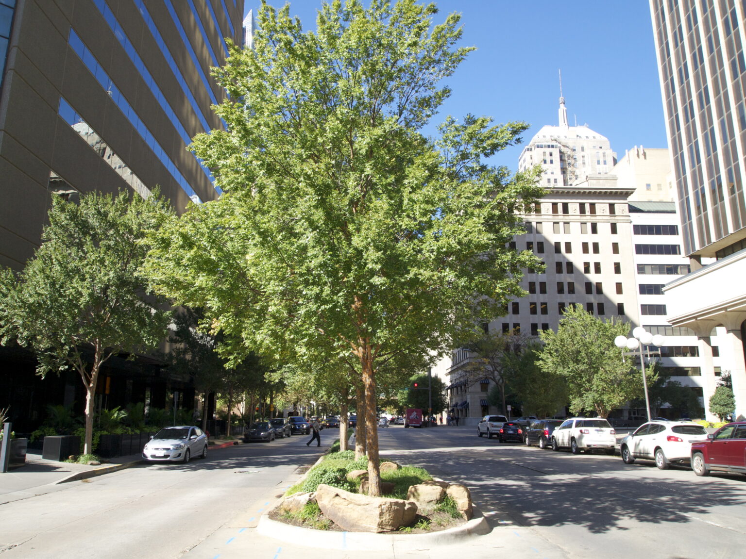 Silva Cells Utilized in Project 180, Transforming Downtown Oklahoma ...