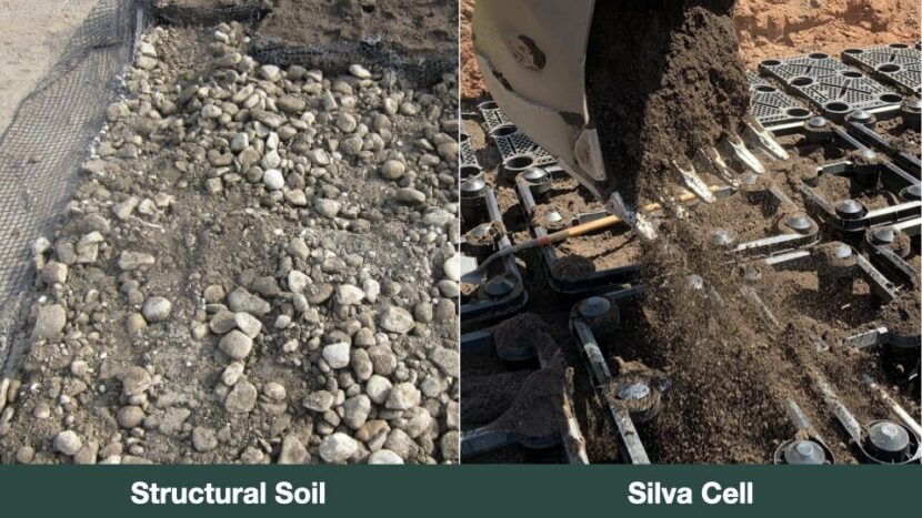 The Limitations of Structural Soil: Why It’s Not the Best Solution for ...