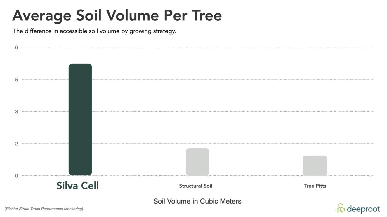 The First Silva Cell Installation: A Retrospective on Kelowna’s Richter ...