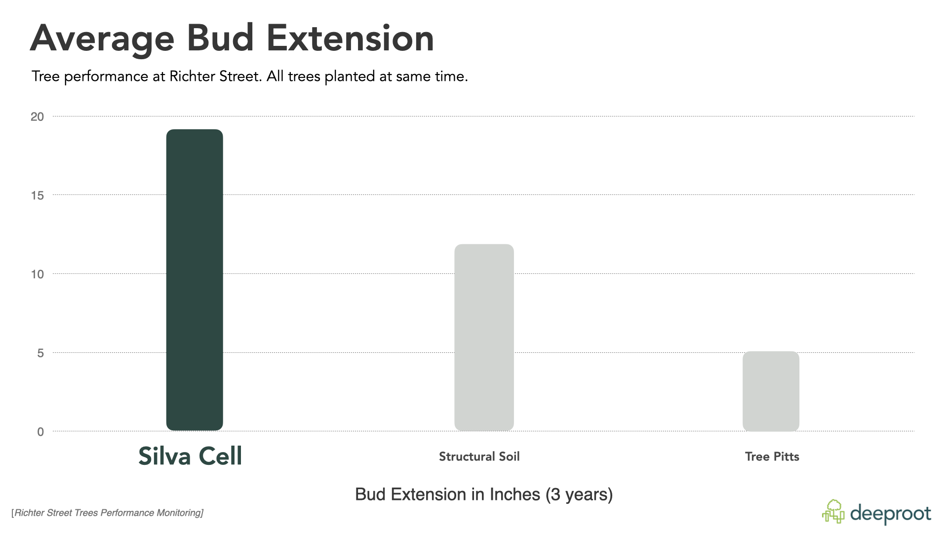 The First Silva Cell Installation: A Retrospective on Kelowna’s Richter ...