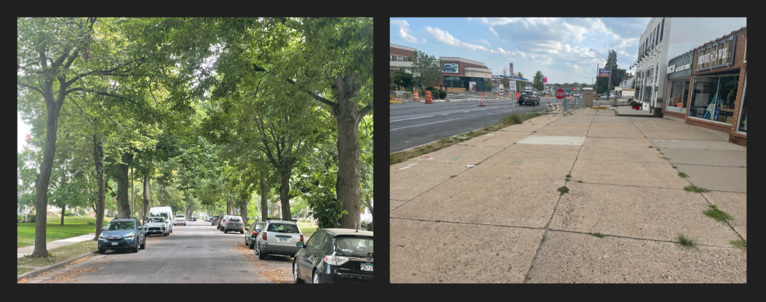 Urban Tree Equity: The Drive to Fair Access | DeepRoot Blog