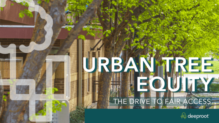 Urban Tree Equity: The Drive to Fair Access | DeepRoot Blog