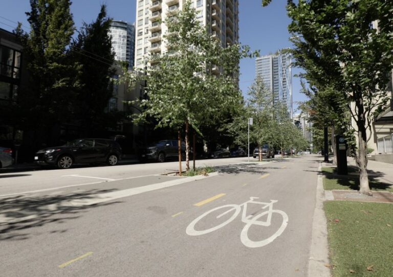 Marino Cell Shallow Urban Stormwater Storage | DeepRoot