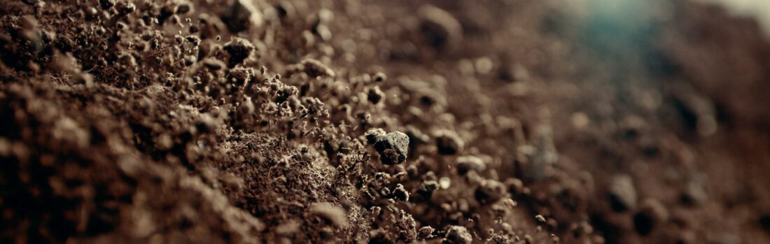 Grow Big Urban Trees with Soil Volume | Silva Cell by DeepRoot