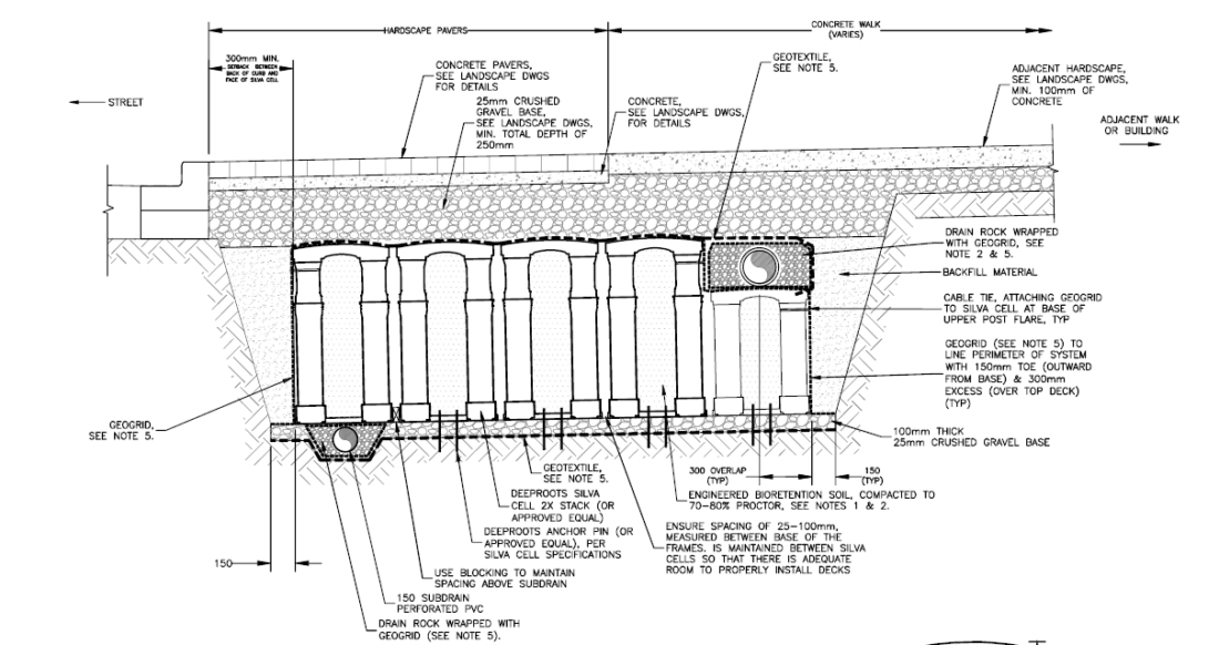 Calgary’s 61st Avenue: Silva Cells Shine in Dual-Purpose Green ...
