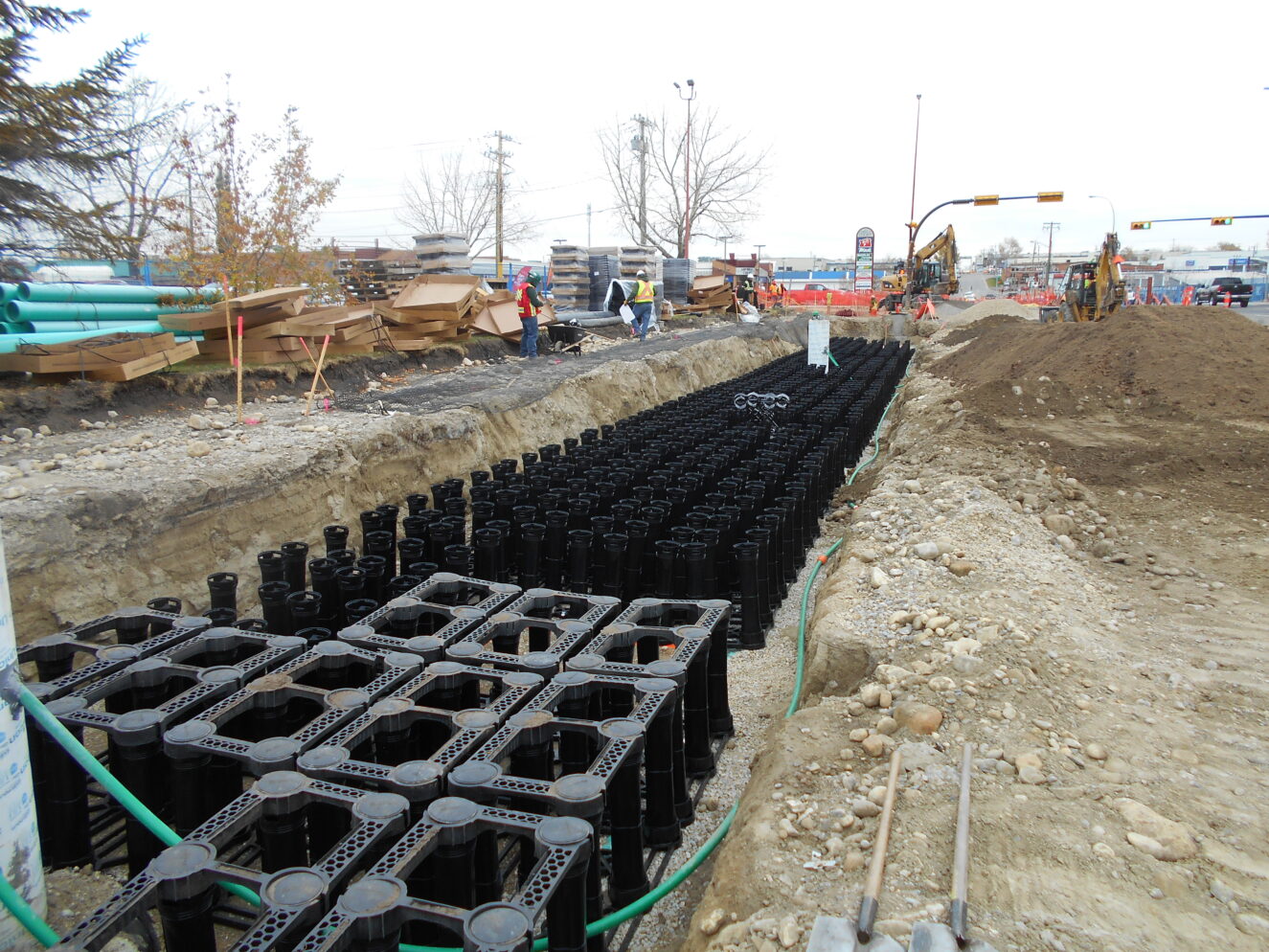 Calgary’s 61st Avenue: Silva Cells Shine in Dual-Purpose Green ...