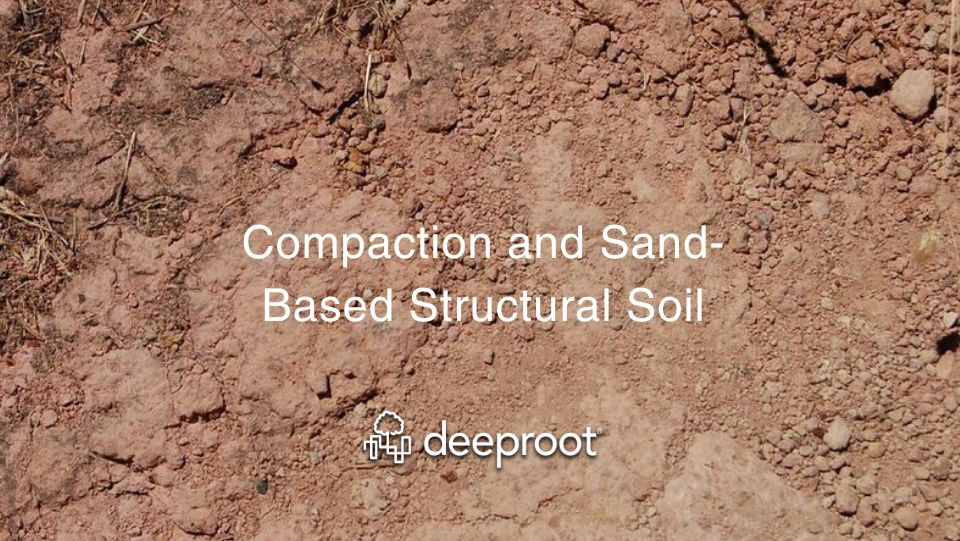 Compaction and Sand-Based Structural Soil (SBSS) | DeepRoot Blog