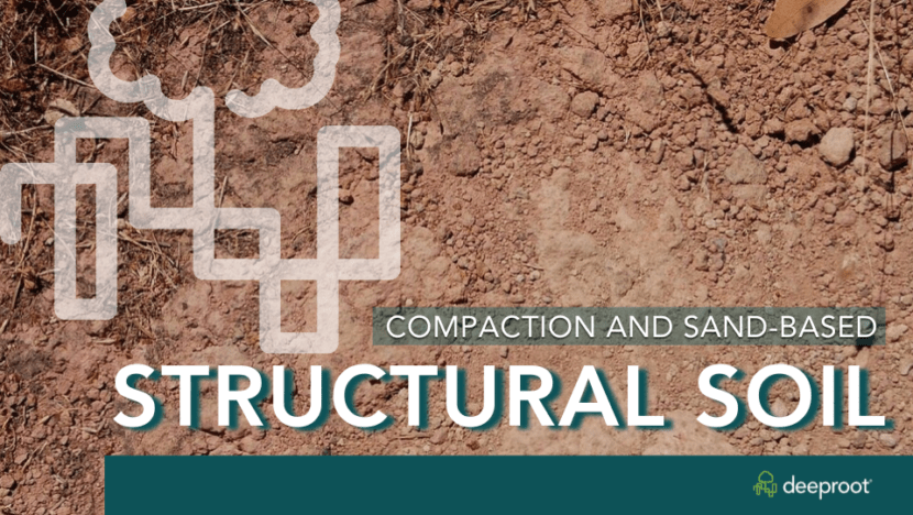 How Does Soil Differ Across Earth’s Biomes? | DeepRoot Blog