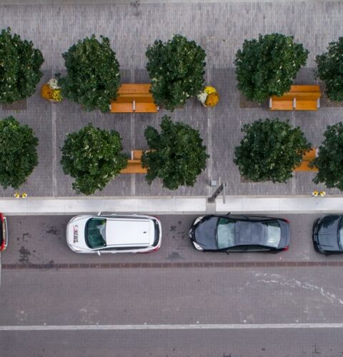 Deeproot Urban Landscape Products And Urban Design Solutions