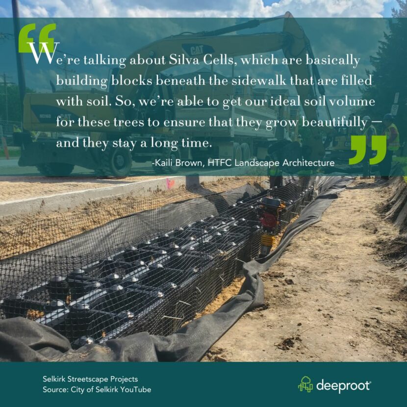 Selkirk’s Award-Winning Streetscape Projects Go Green with Silva Cells | Case Study | DeepRoot