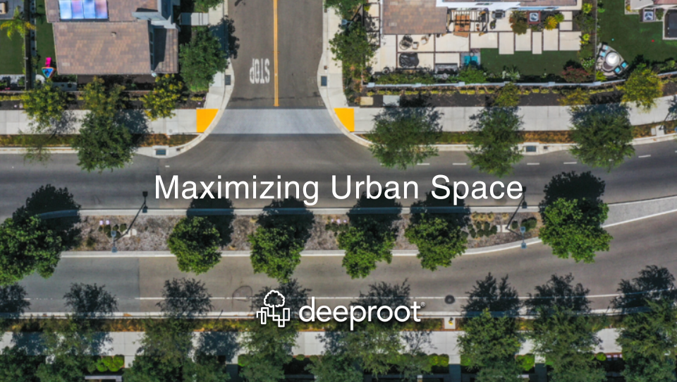 The Latest Urban Tree Canopy Cover by State | DeepRoot Blog
