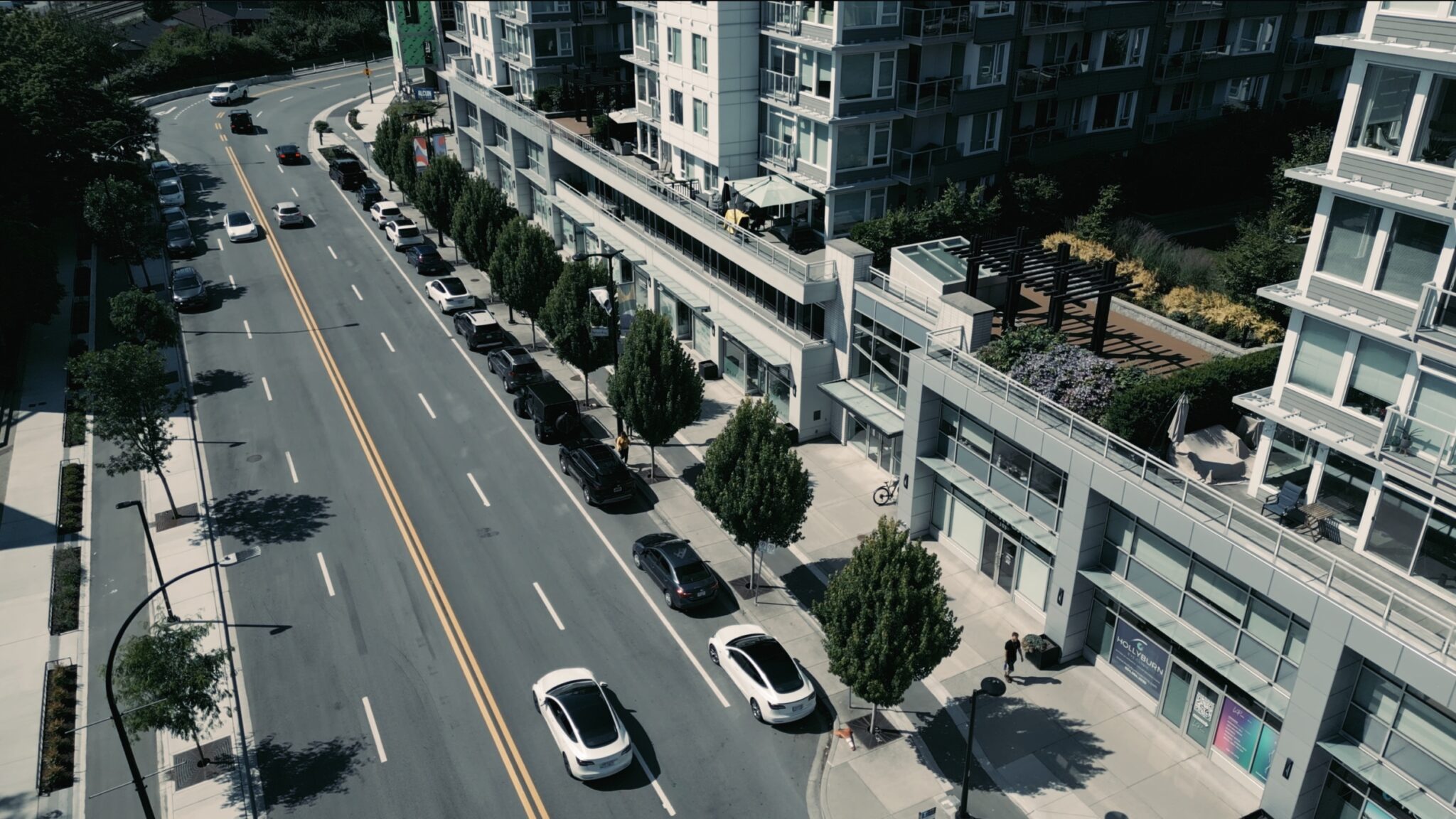 Silva Cell Tree and Stormwater Management System | DeepRoot