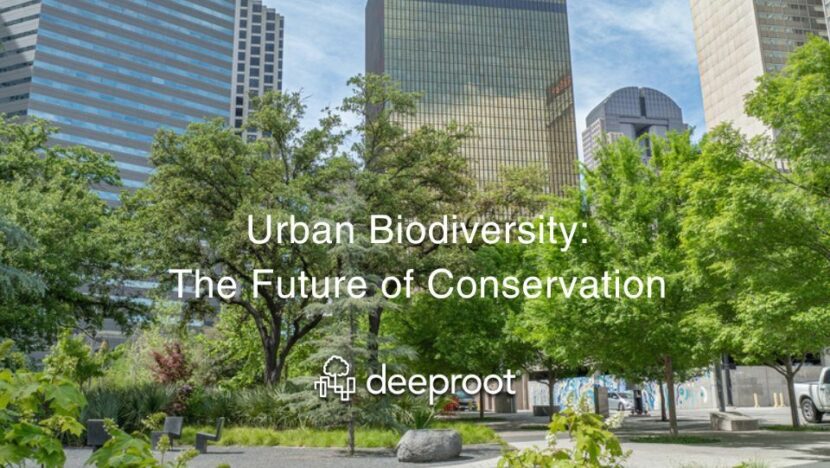 Design | DeepRoot Blog