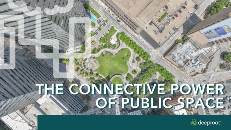 Plant This: Three Deciduous Conifers | DeepRoot Blog