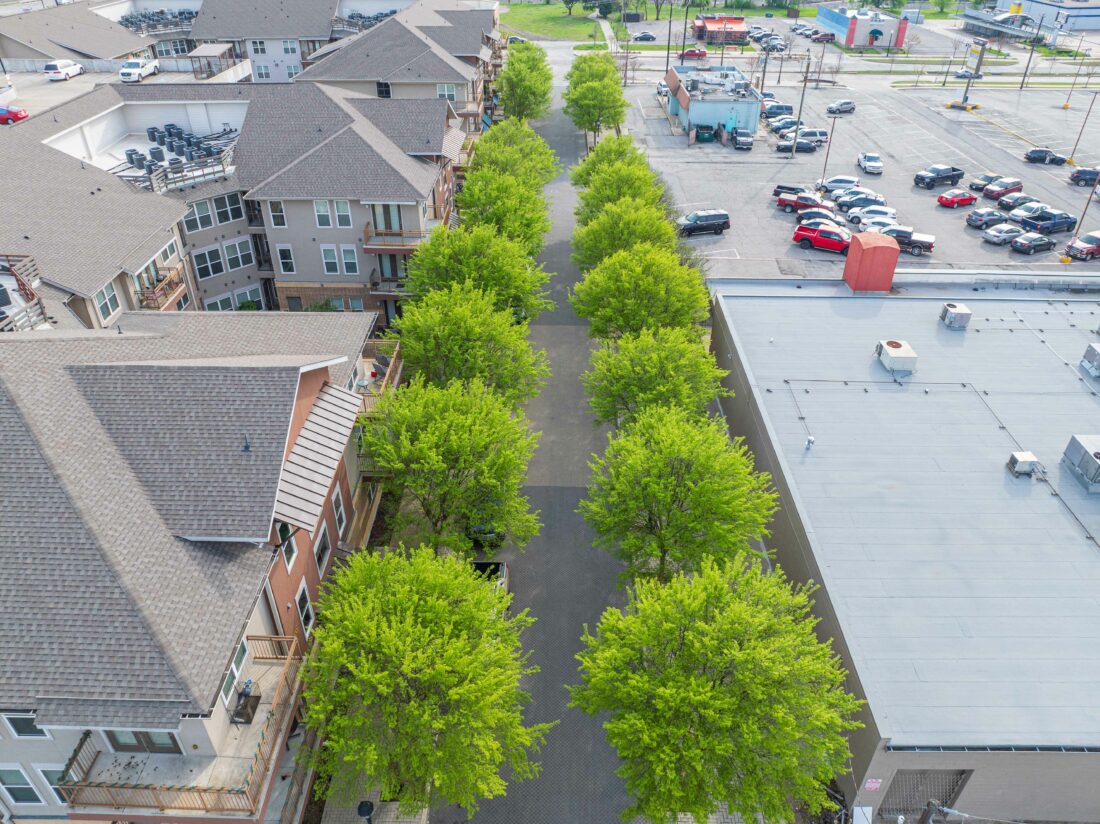 A Taste of Environmental Equity in Mesquite, Texas | Case Study | DeepRoot