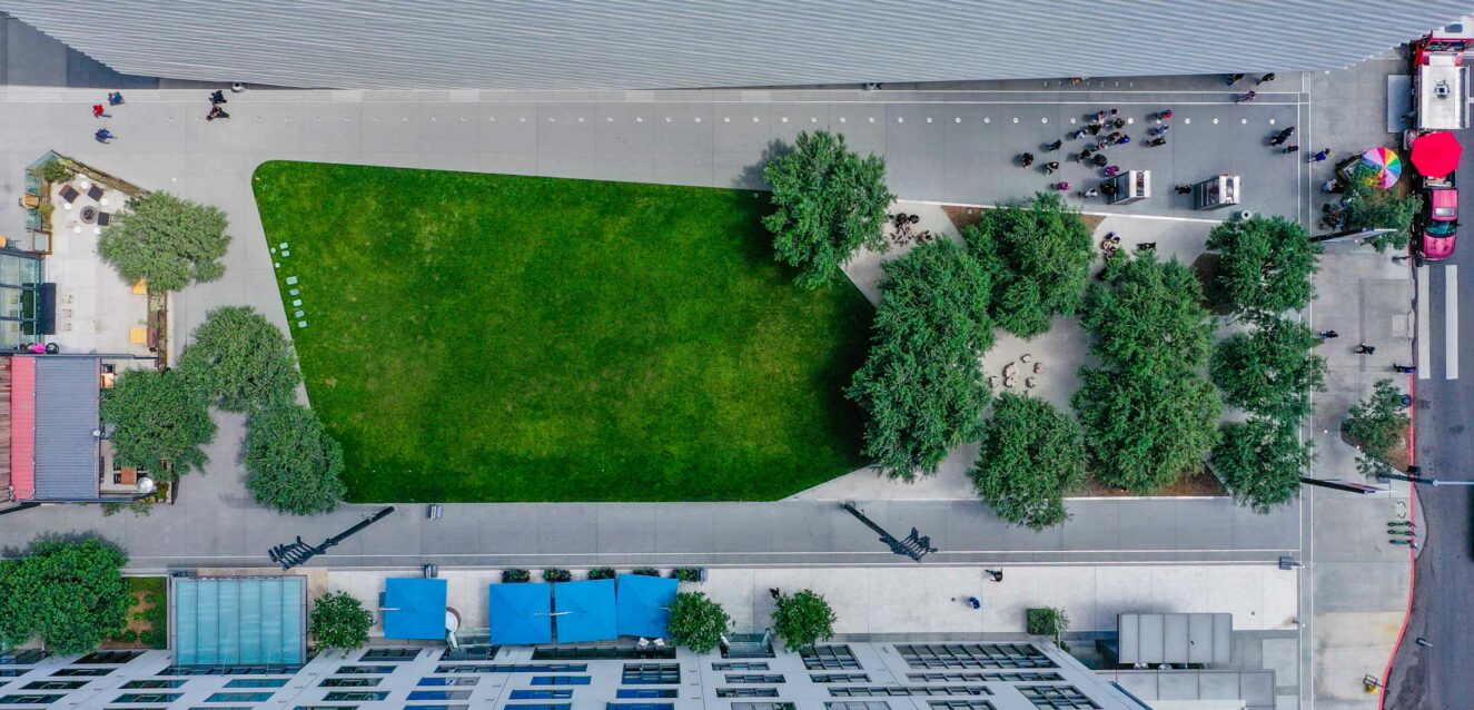 Silva Cell Tree and Stormwater Management System | DeepRoot